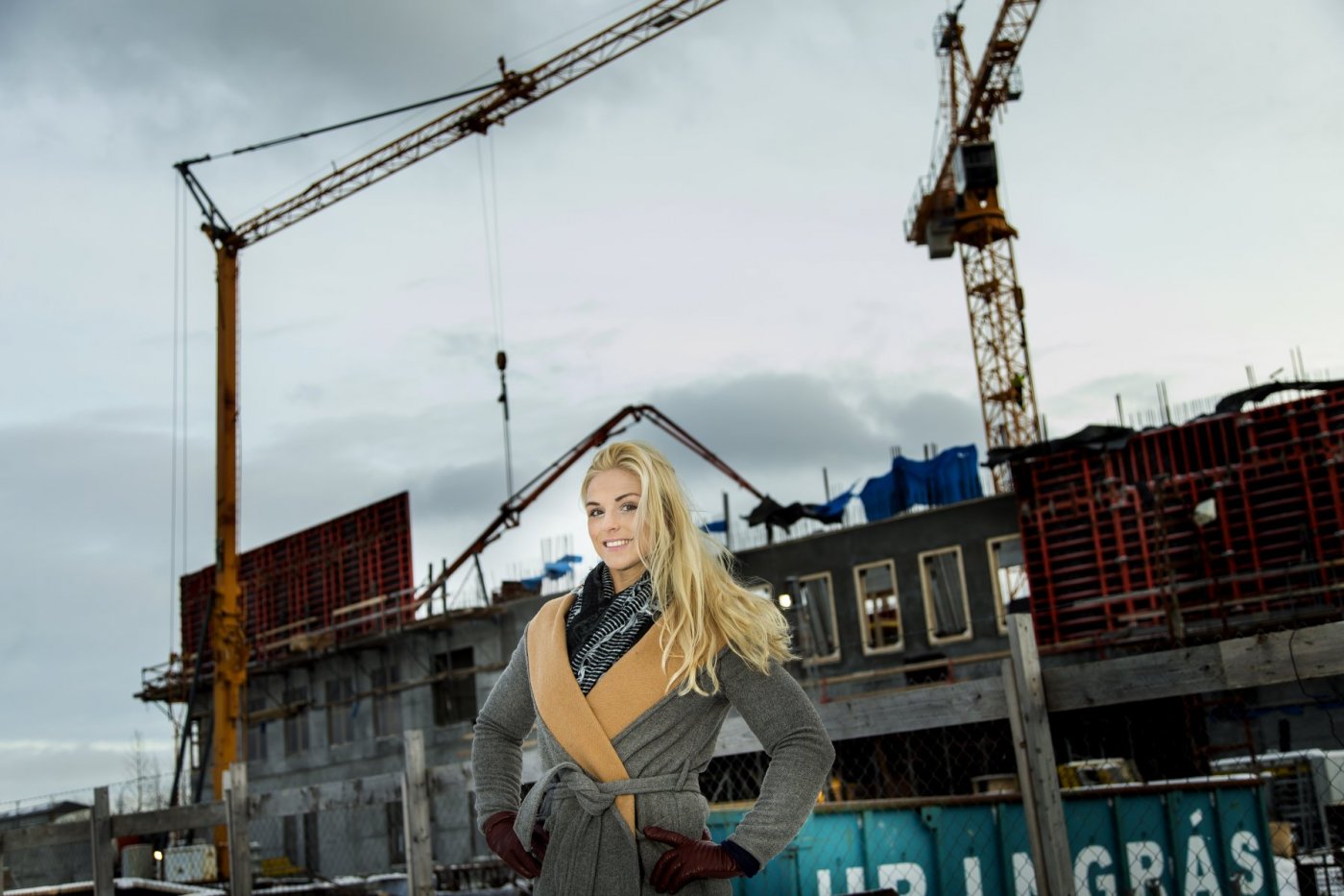 Kvik kerfislíkön í háskerpu | Háskóli Íslands