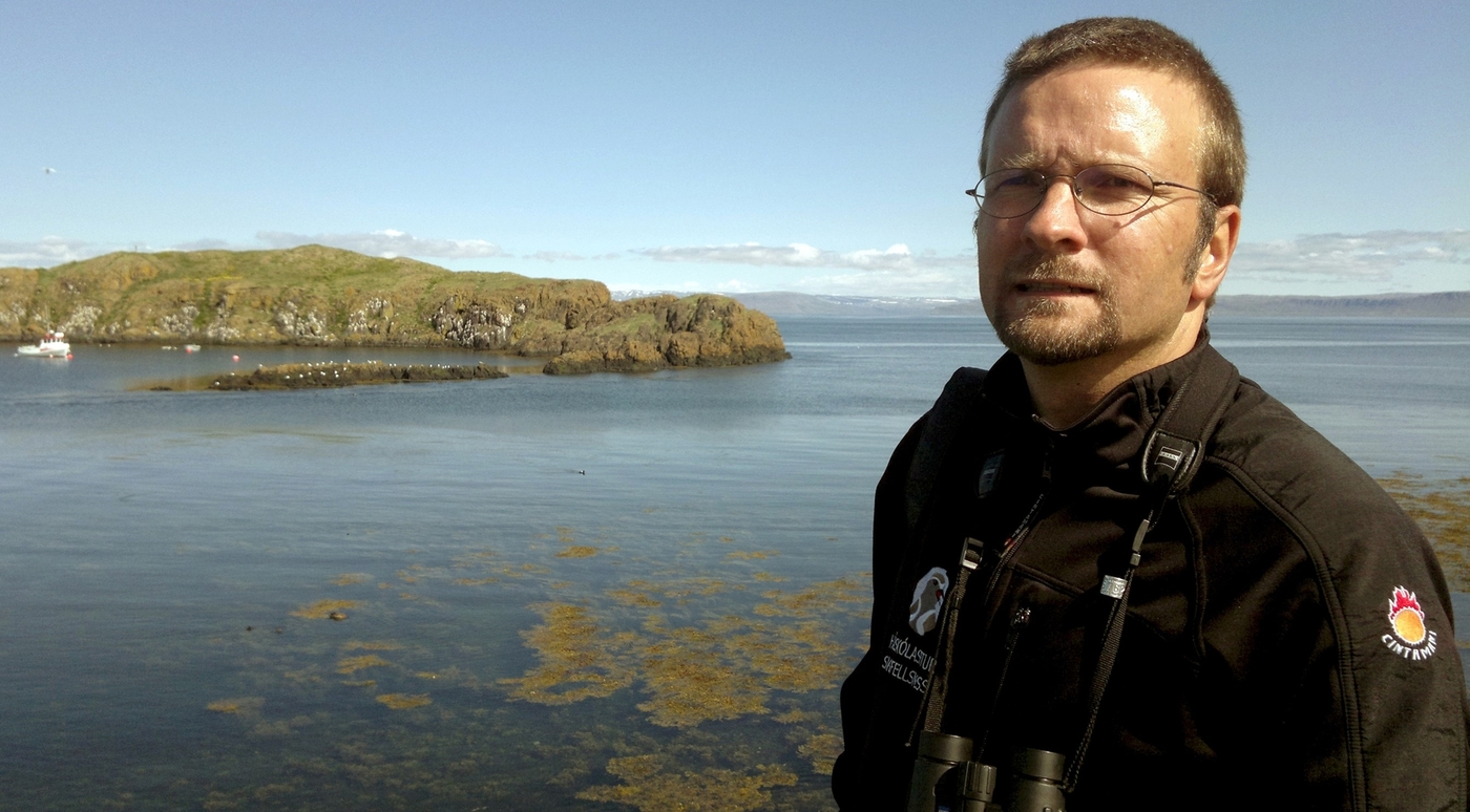 Minkurinn greiddi æðarfuglinum mikið högg | Háskóli Íslands